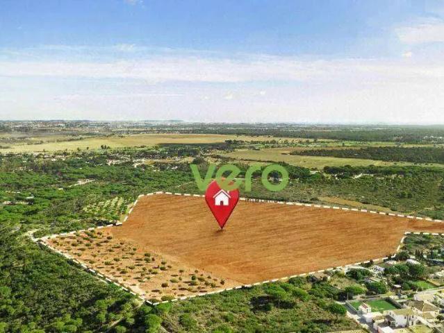 Terreno / Lote para Venda em Limeira/SP Centro