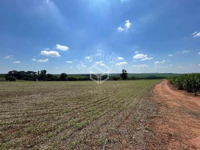 Terreno / Lote para Venda em Limeira/SP Bairro do Pinhal
