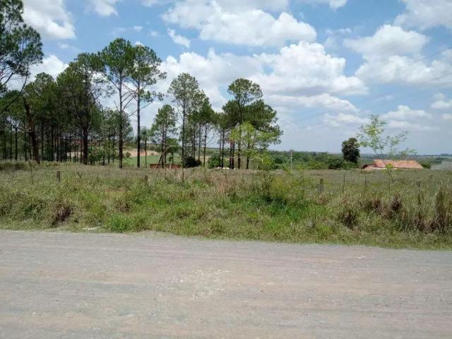 Terreno / Lote para Venda em Limeira/SP Bairro do Porto