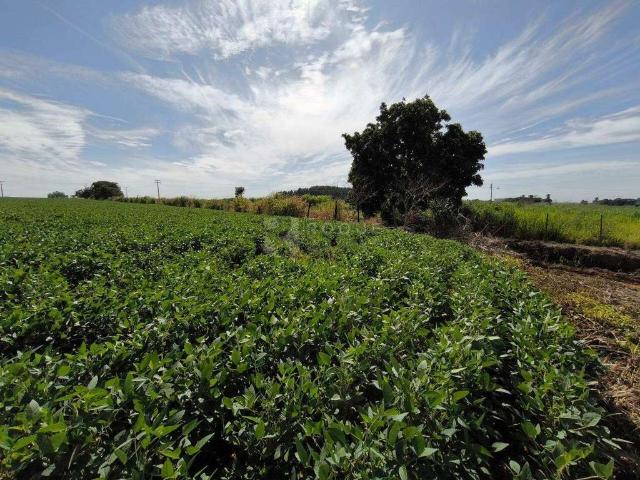 Terreno / Lote para Venda em Limeira/SP Bairro dos Lopes