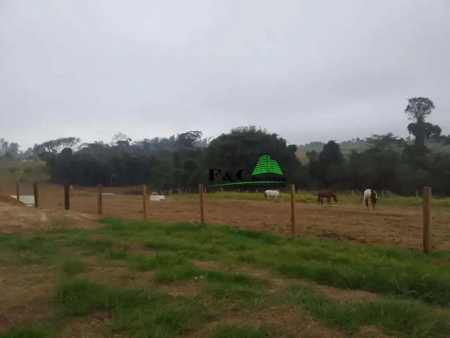 Terreno / Lote para Venda em Limeira/SP Bairro Dos Pereiras