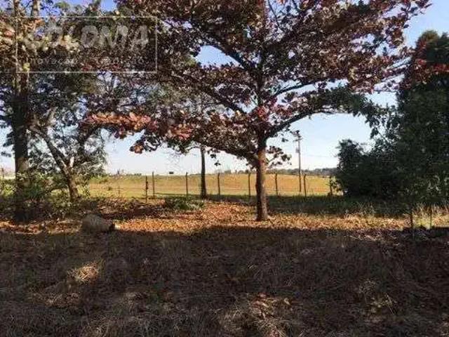 Terreno / Lote para Venda em Limeira/SP Graminha