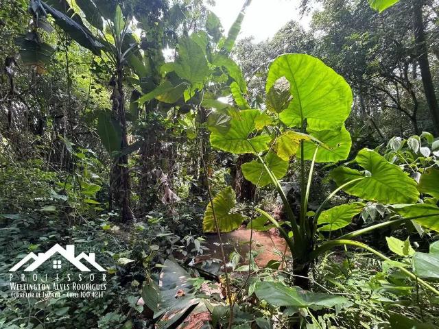 Terreno / Lote para Venda em Limeira/SP Dos Frades