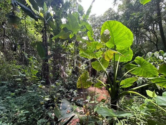 Terreno / Lote para Venda em Limeira/SP Dos Frades