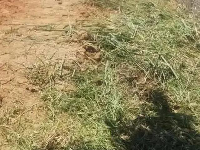 Terreno / Lote para Venda em Limeira/SP Jardim Marajoara