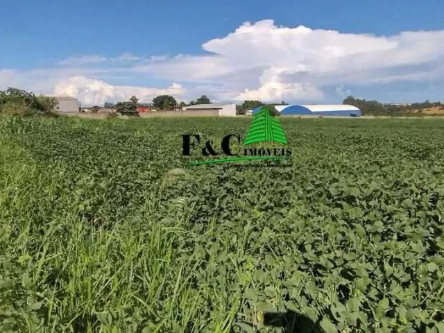 Terreno / Lote para Venda em Limeira/SP Jardim Nova Limeira