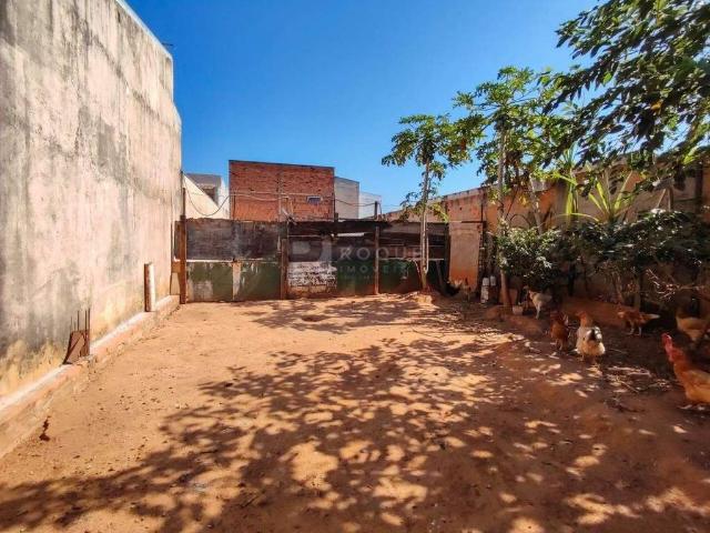 Terreno / Lote para Venda em Limeira/SP Jardim Lagoa Nova