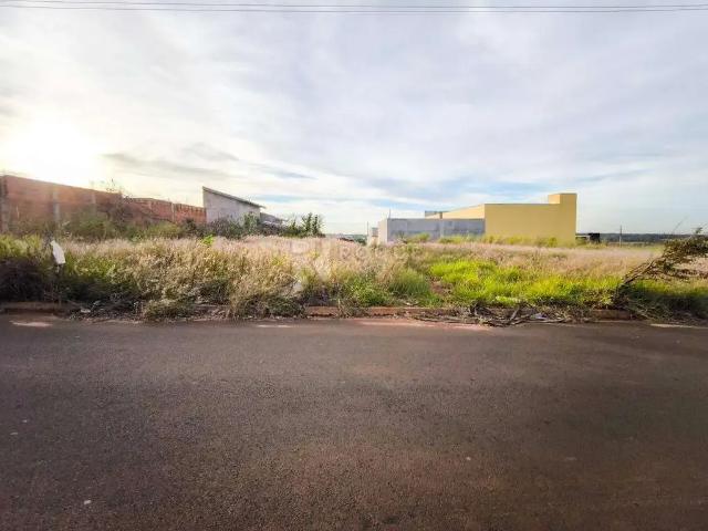 Terreno / Lote para Venda em Limeira/SP Residencial Colinas do Engenho I