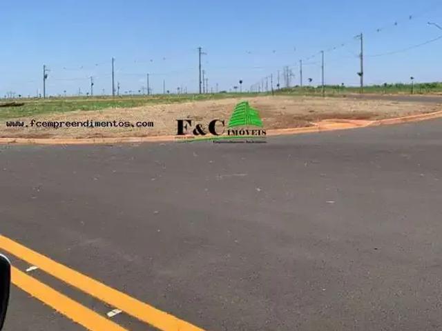 Terreno / Lote para Venda em Limeira/SP Residencial Colinas do Engenho I