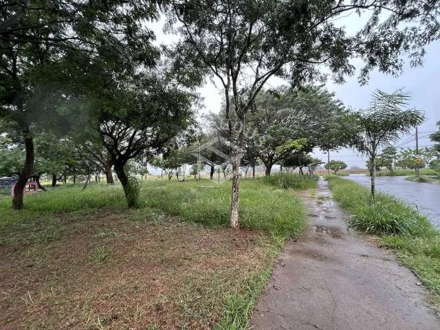 Terreno / Lote para Venda em Limeira/SP Residencial Palmeira Real