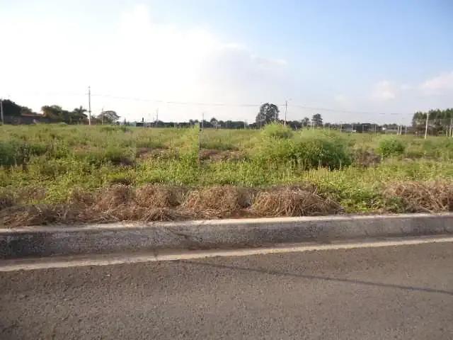 Terreno / Lote para Venda em Limeira/SP Residencial Palmeira Real