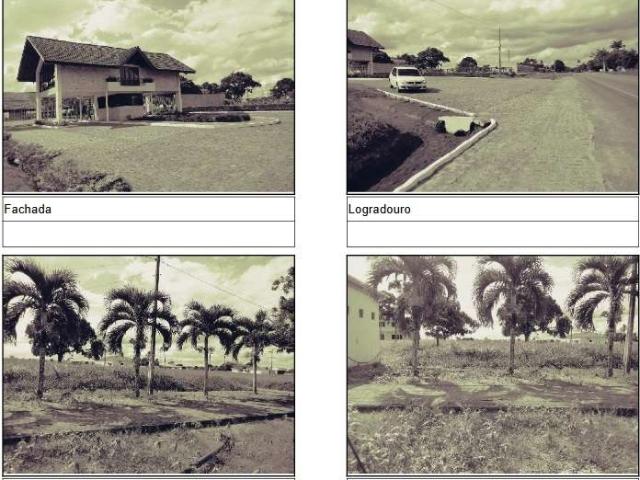 Terreno / Lote para Venda em Limoeiro/PE Centro 1 Quartos