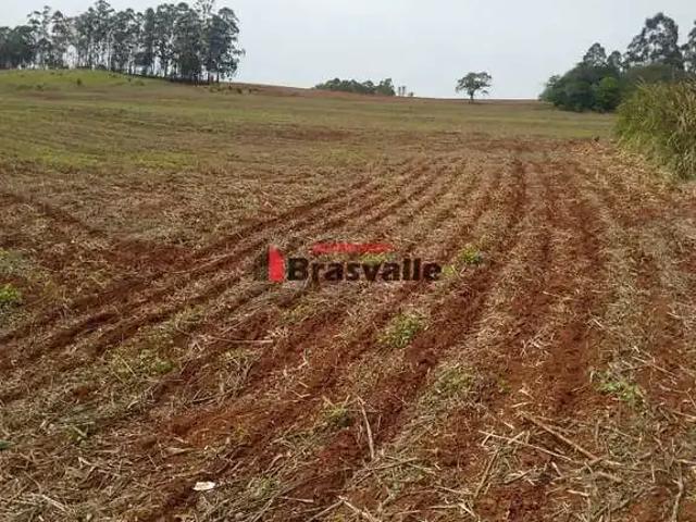 Terreno / Lote para Venda em Lindoeste/PR Zona Rural