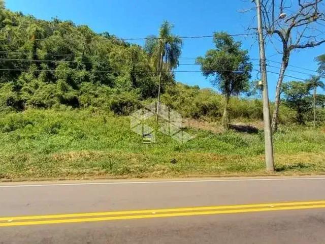 Terreno / Lote para Venda em Lindolfo Collor/RS Capivarinha