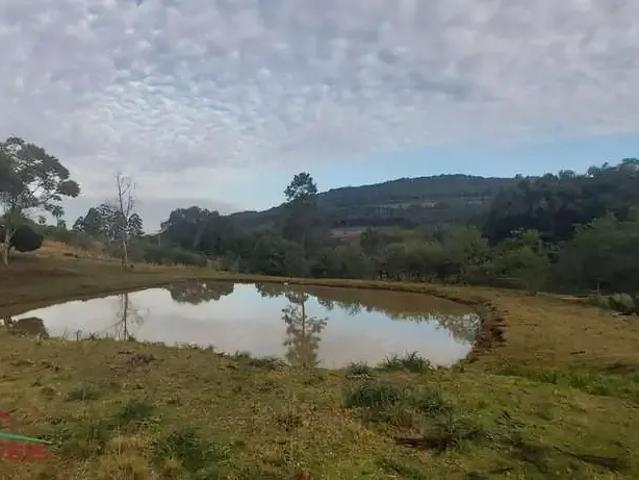 Terreno / Lote para Venda em Linha Nova/RS Canto Karling