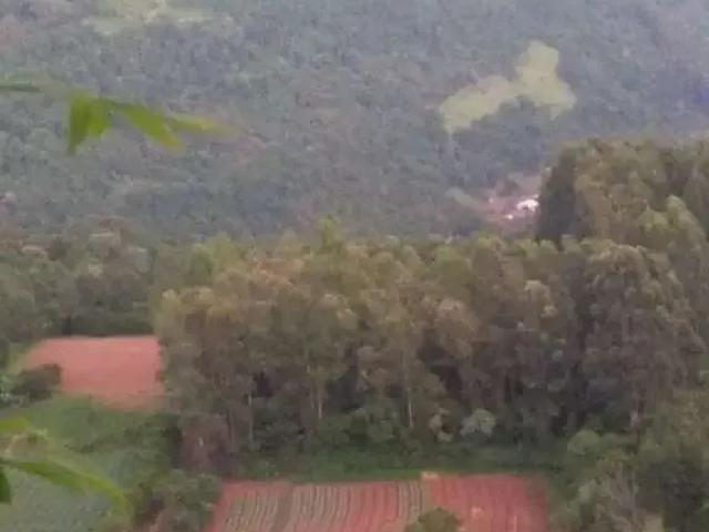 Terreno / Lote para Venda em Linha Nova/RS Canto Karling