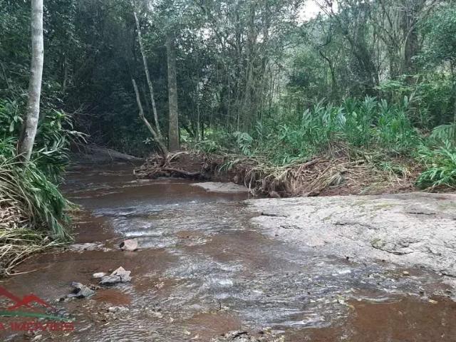 Terreno / Lote para Venda em Linha Nova/RS Zona Rural