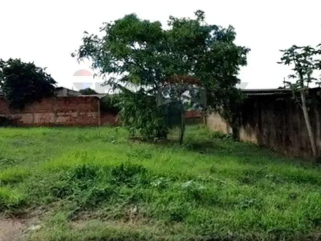 Terreno / Lote para Venda em Lins/SP Conjunto Habitacional Francisco José de Oliveira Ratto