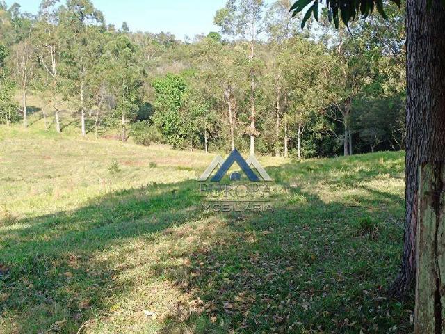 Terreno / Lote para Venda em Londrina/PR Maravilha