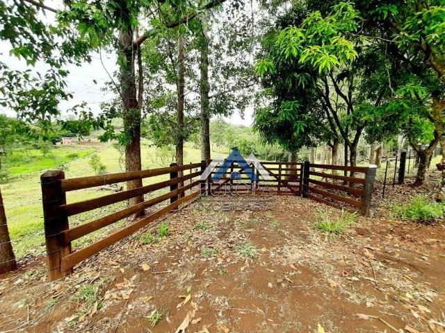 Terreno / Lote para Venda em Londrina/PR Maravilha