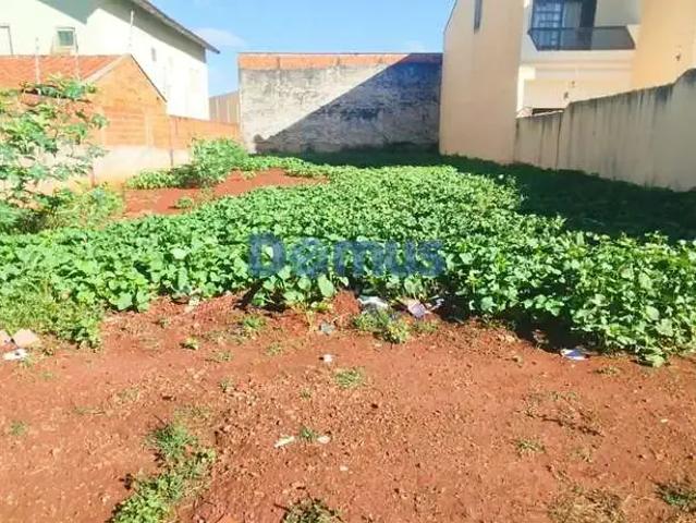 Terreno / Lote para Venda em Londrina/PR Marumbi