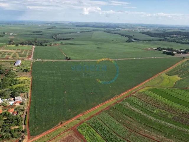 Terreno / Lote para Venda em Londrina/PR Milton Gavetti