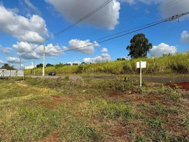 Terreno / Lote para Venda em Londrina/PR Ouro Verde