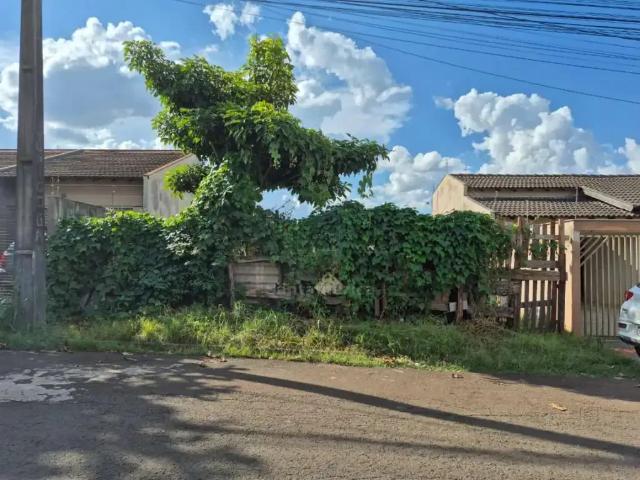Terreno / Lote para Venda em Londrina/PR Alto da Boa Vista