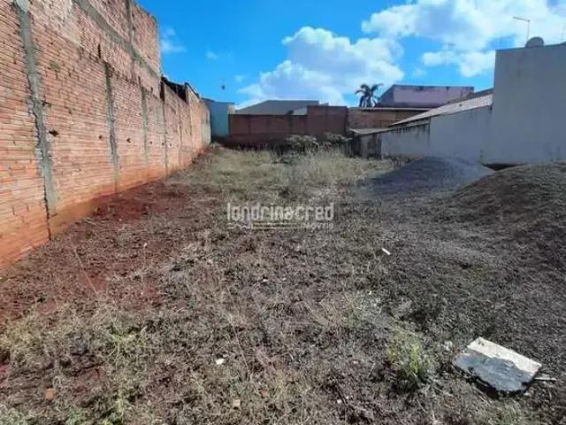 Terreno / Lote para Venda em Londrina/PR Alto da Boa Vista