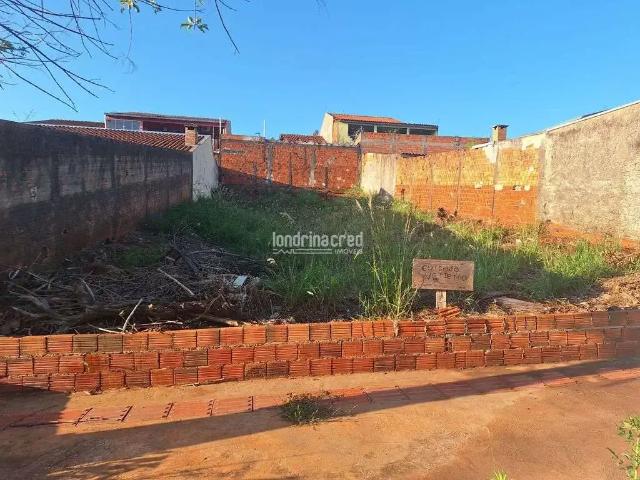 Terreno / Lote para Venda em Londrina/PR Alto da Boa Vista