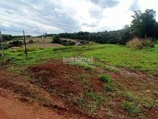 Terreno / Lote para Venda em Londrina/PR Área Rural de Londrina