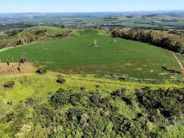 Terreno / Lote para Venda em Londrina/PR Área Rural de Londrina