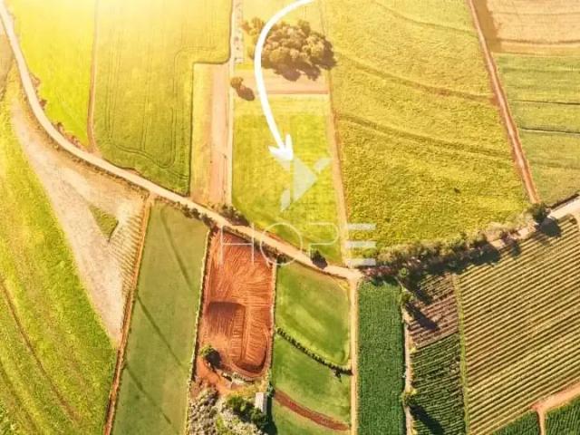 Terreno / Lote para Venda em Londrina/PR Área Rural de Londrina