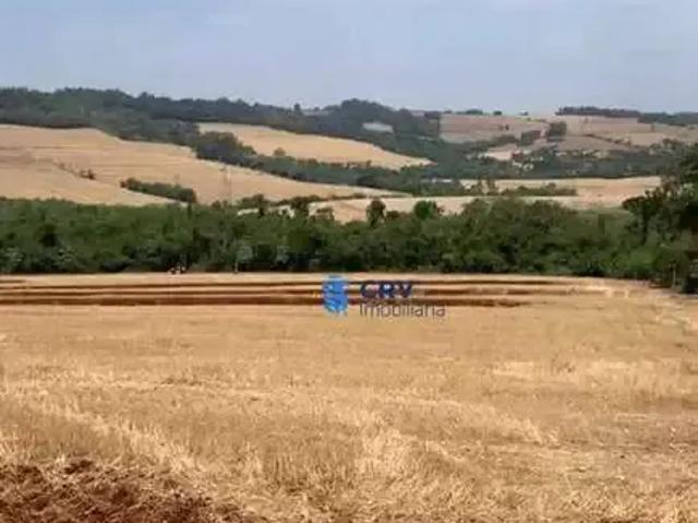 Terreno / Lote para Venda em Londrina/PR Área Rural de Londrina