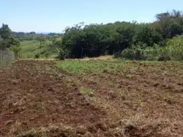Terreno / Lote para Venda em Londrina/PR Centro