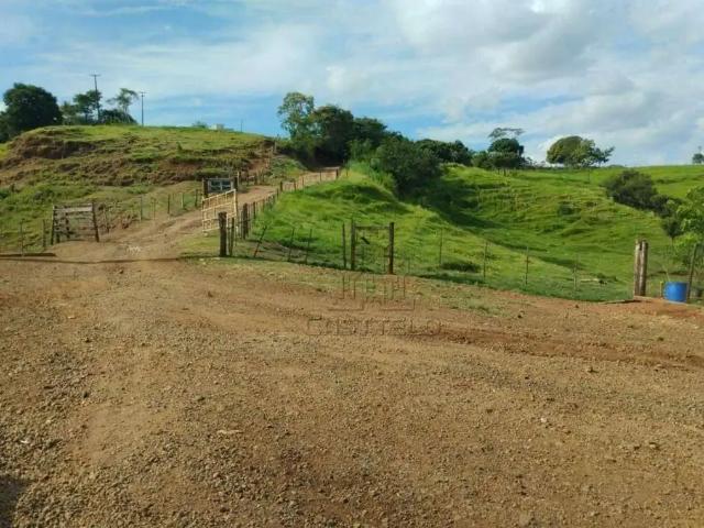 Terreno / Lote para Venda em Londrina/PR Chácara Bela Vista