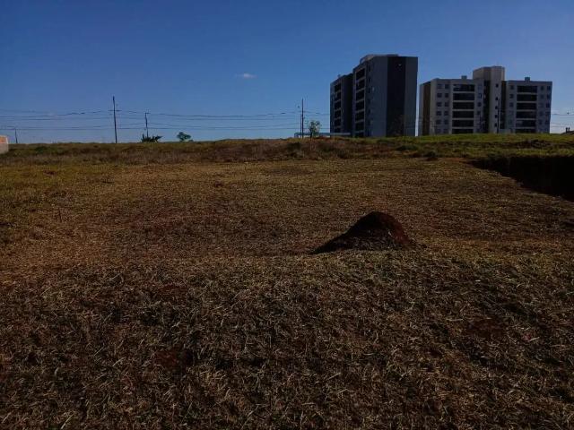 Terreno / Lote para Venda em Londrina/PR Colinas