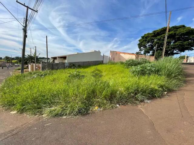 Terreno / Lote para Venda em Londrina/PR Colinas