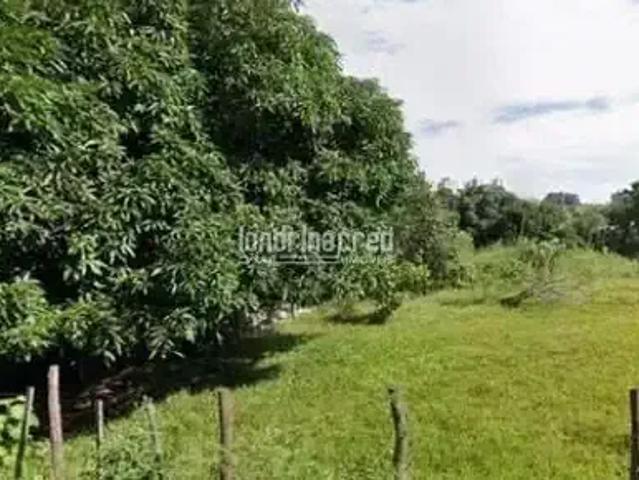 Terreno / Lote para Venda em Londrina/PR Condomínio Vale do Arvoredo