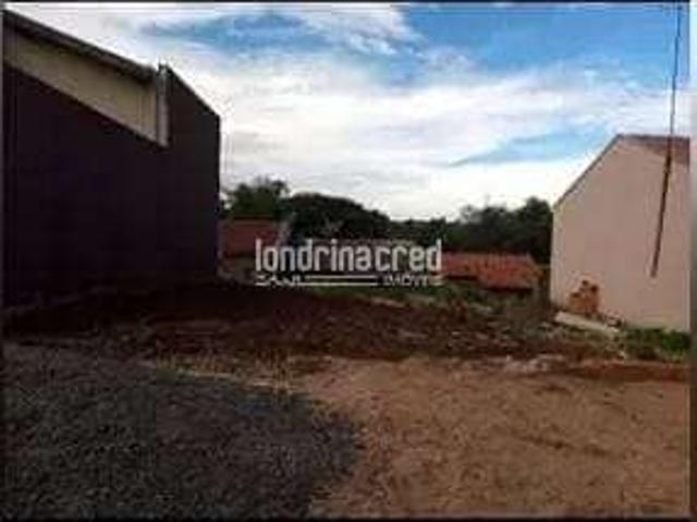 Terreno / Lote para Venda em Londrina/PR Conjunto Habitacional Alexandre Urbanas