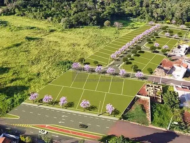 Terreno / Lote para Venda em Londrina/PR Conjunto Habitacional Alexandre Urbanas 1 Quartos