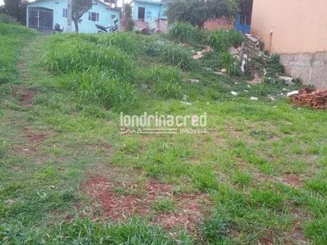 Terreno / Lote para Venda em Londrina/PR Conjunto Habitacional Bronzzetti