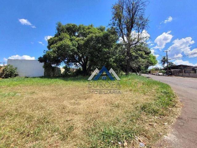 Terreno / Lote para Venda em Londrina/PR Conjunto Habitacional Maria Cecília Serrano de Oliveira