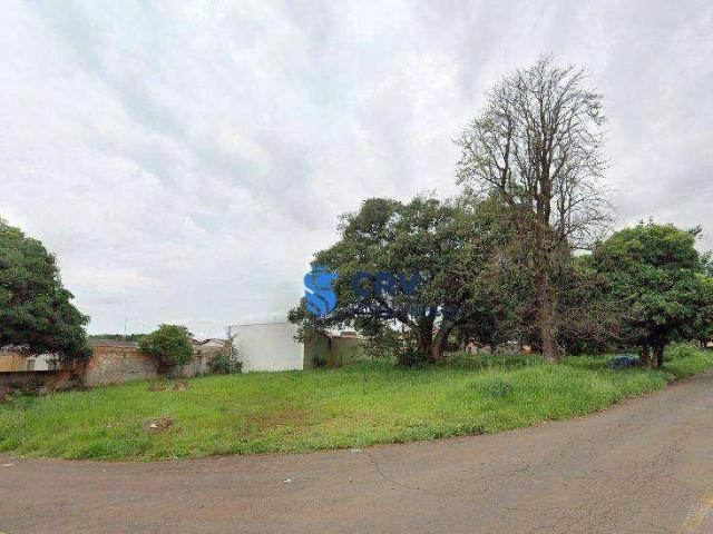Terreno / Lote para Venda em Londrina/PR Conjunto Habitacional Maria Cecília Serrano de Oliveira