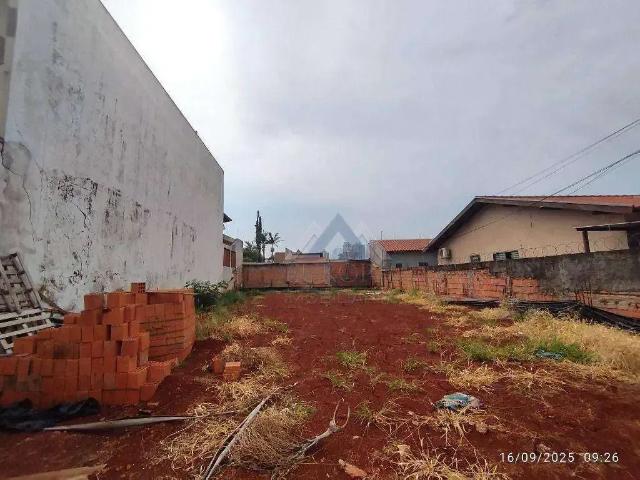 Terreno / Lote para Venda em Londrina/PR Dom Bosco