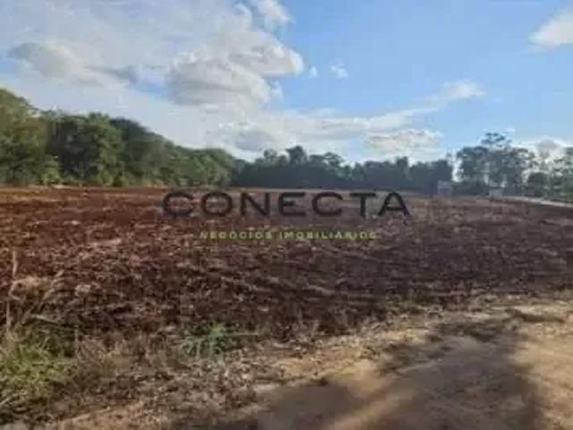 Terreno / Lote para Venda em Londrina/PR Eucaliptos