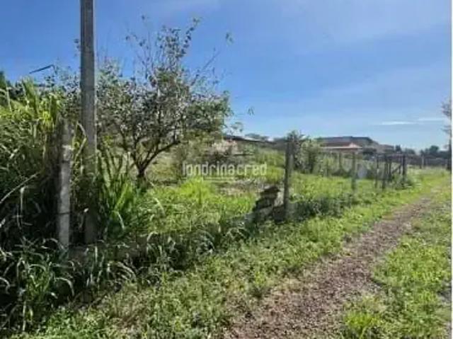 Terreno / Lote para Venda em Londrina/PR Esperança