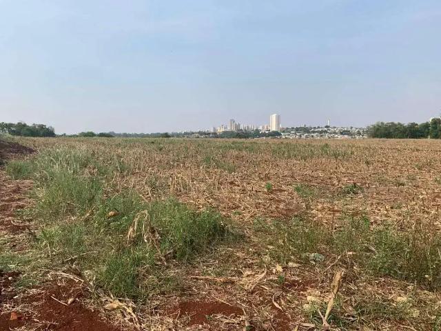 Terreno / Lote para Venda em Londrina/PR Esperança