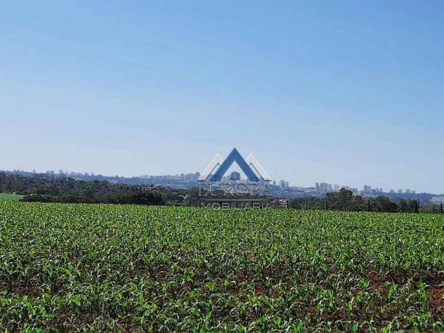 Terreno / Lote para Venda em Londrina/PR Espírito Santo