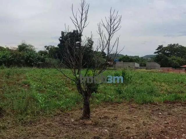 Terreno / Lote para Venda em Londrina/PR Fazenda Nata